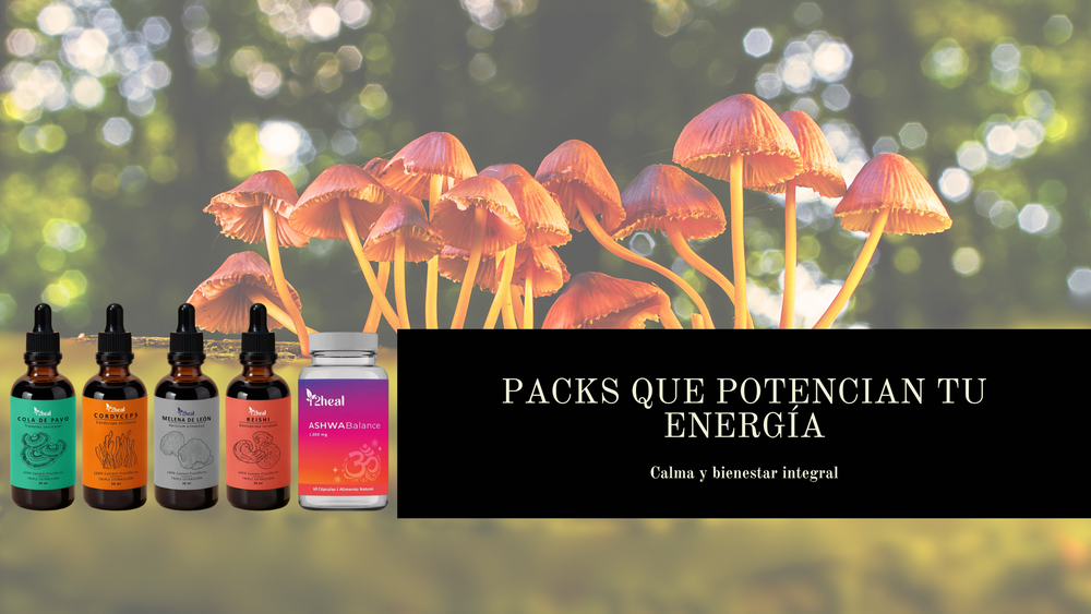 Hongos adaptógenos: packs y beneficios para energía, descanso y ...
